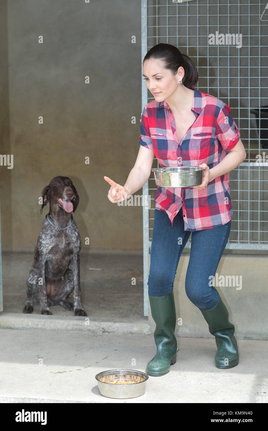 dedicated girl training dog in kennel Stock Photo - Alamy