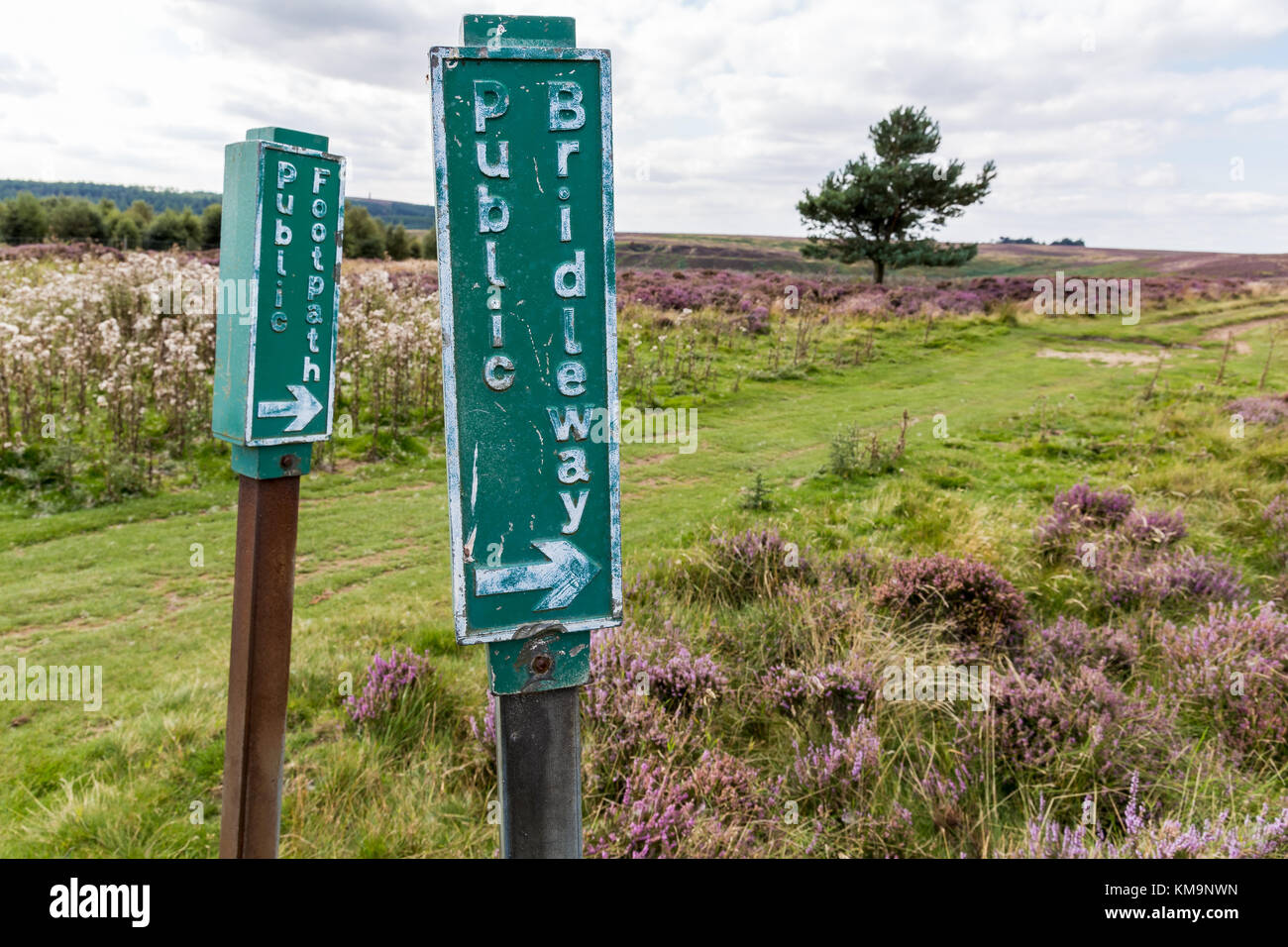 Sign: "public bridleway" near Percy Cross Rigg and Kildale, North ...