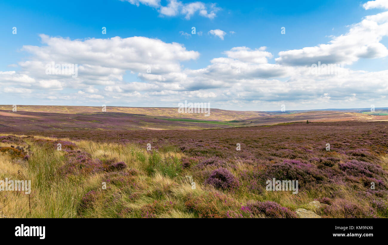 Percy cross rigg hi-res stock photography and images - Alamy
