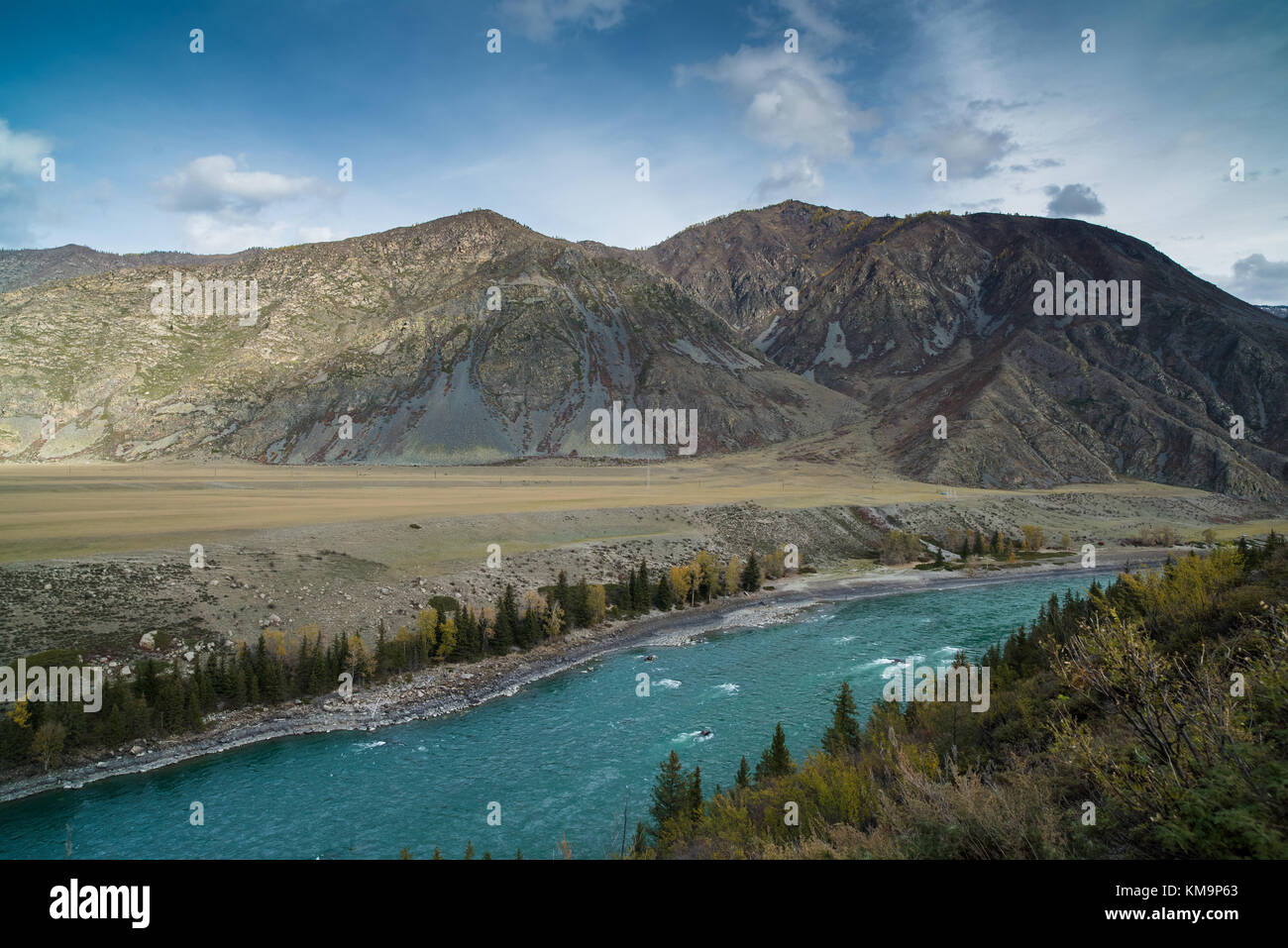Mountainous summer landscape with a turquoise river. Russia, the Altai ...