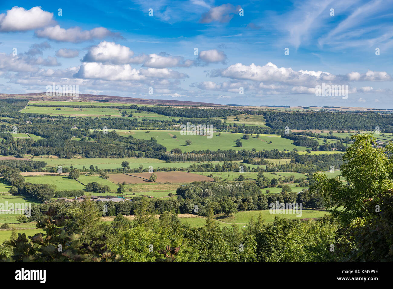 Yorkshire Dales landscape near West Witton, North Yorkshire, England ...
