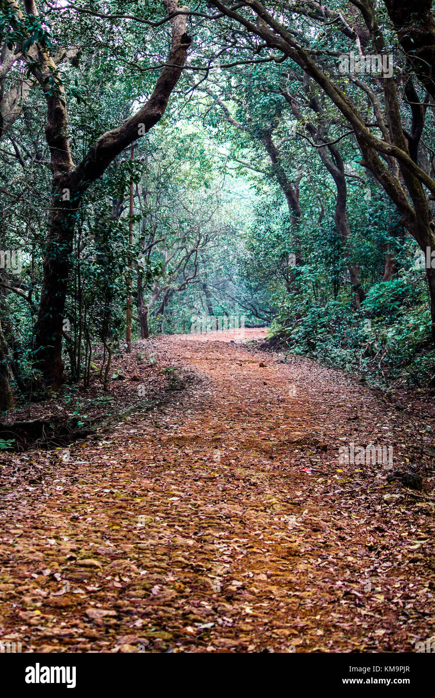 Without greenery hi-res stock photography and images - Alamy