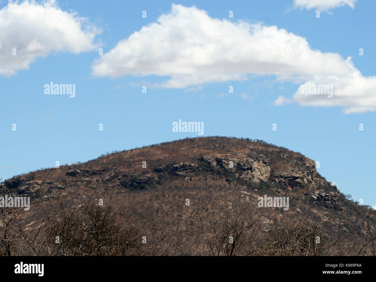 Koppies hi-res stock photography and images - Alamy