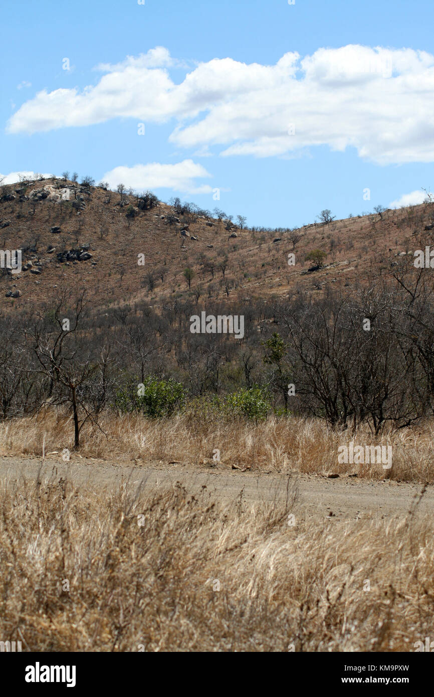 Kruger National Park, A small valley between two small hills with a ...