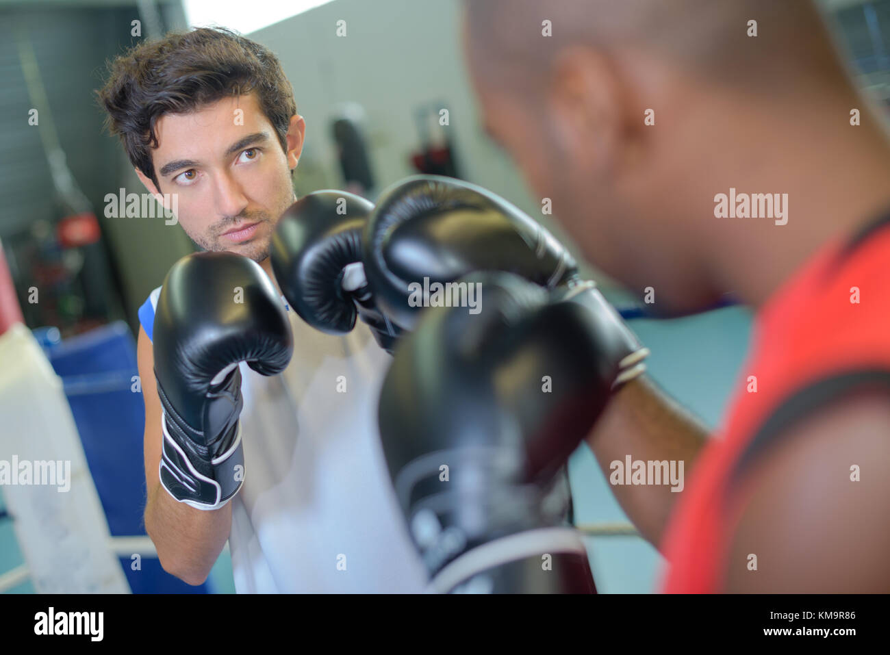 Men framing up to eachother in boxing match Stock Photo - Alamy