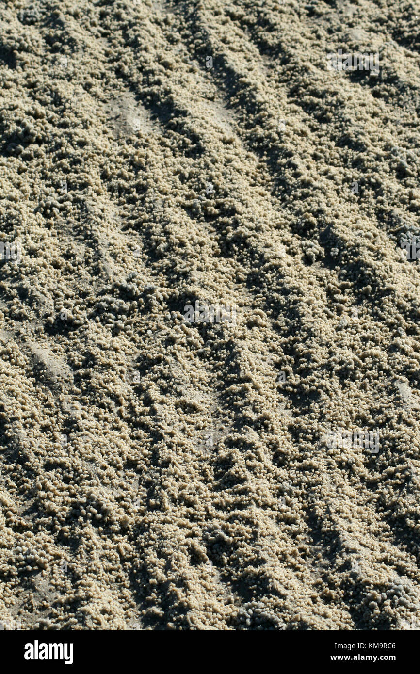 Damp Coarse High Resolution Stock Photography and Images - Alamy