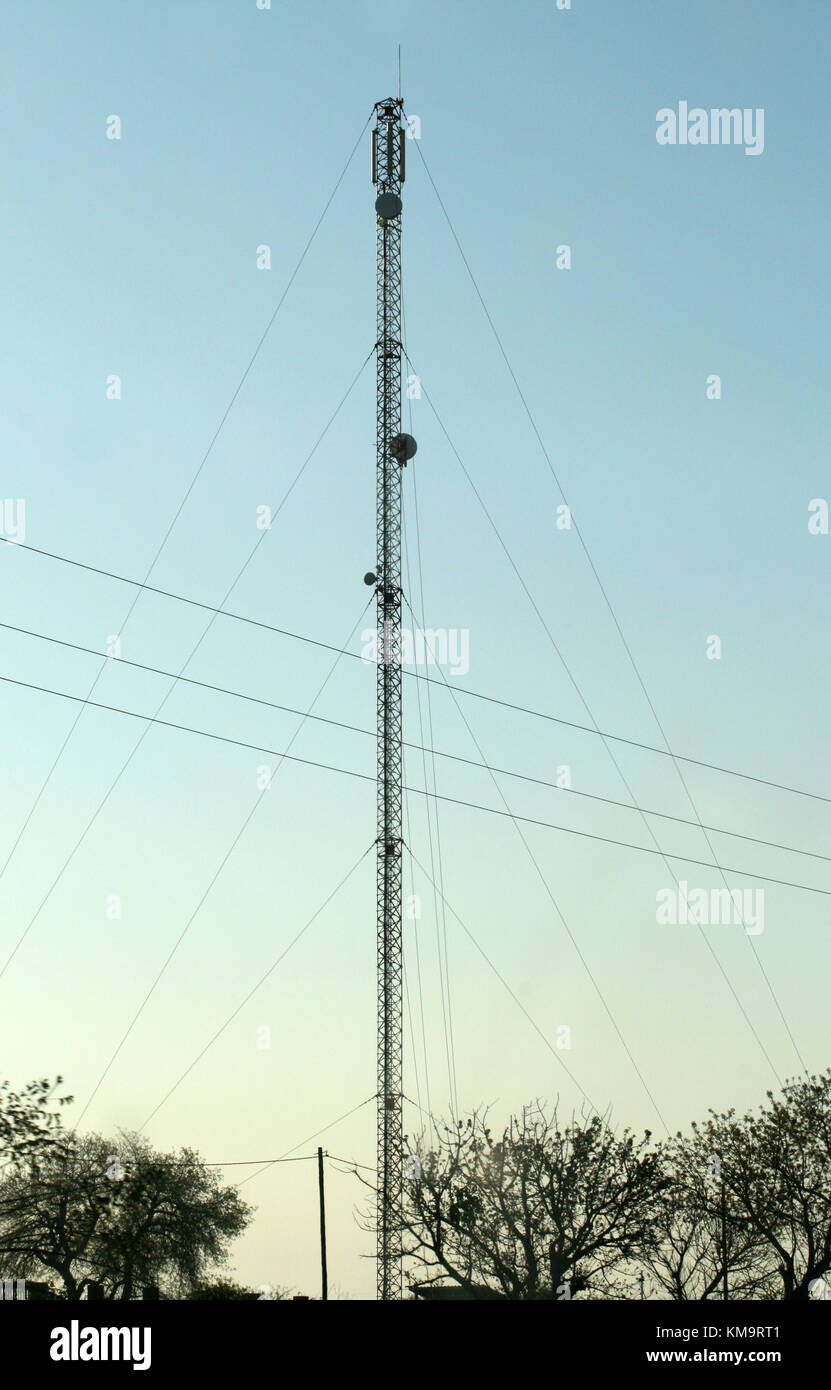 Cell phone tower tree hi-res stock photography and images - Alamy
