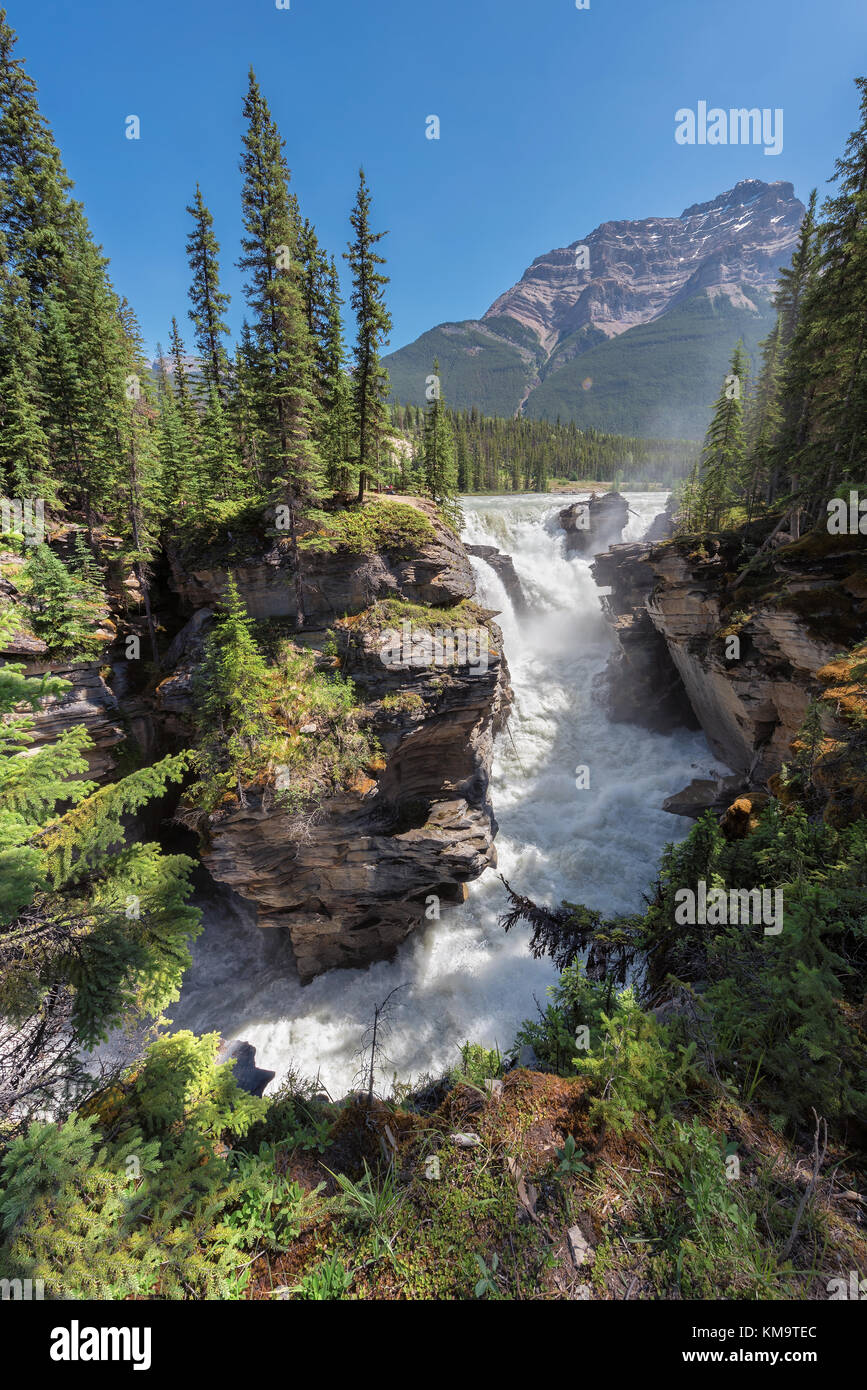 Athabasca Falls in Jasper National Park Stock Photo - Alamy