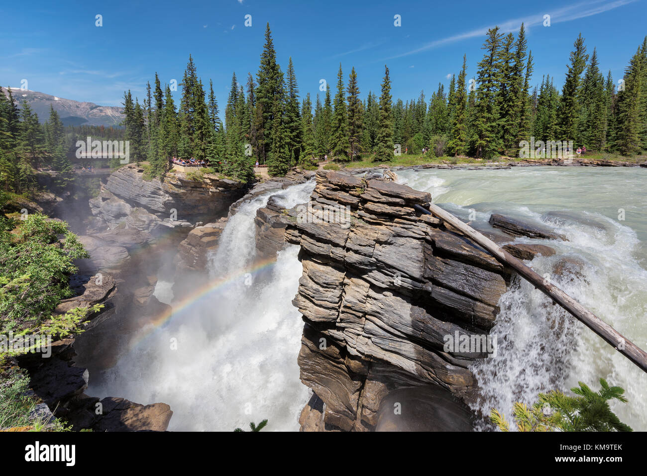 Athabasca Falls in Jasper National Park Stock Photo - Alamy