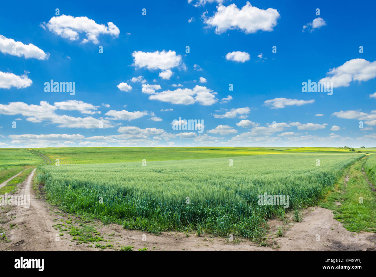 Large area green fields hi-res stock photography and images - Alamy