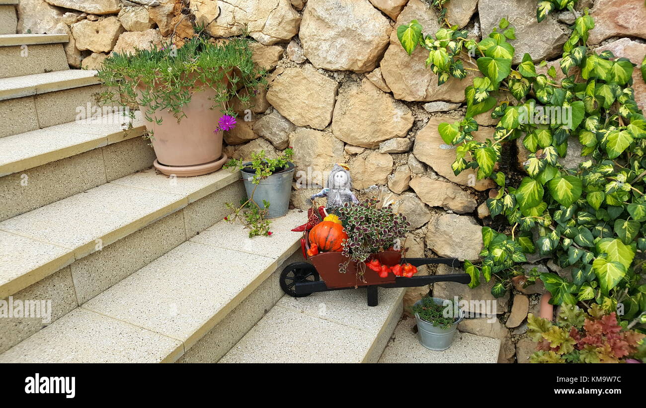 Steps creeper hi-res stock photography and images - Alamy