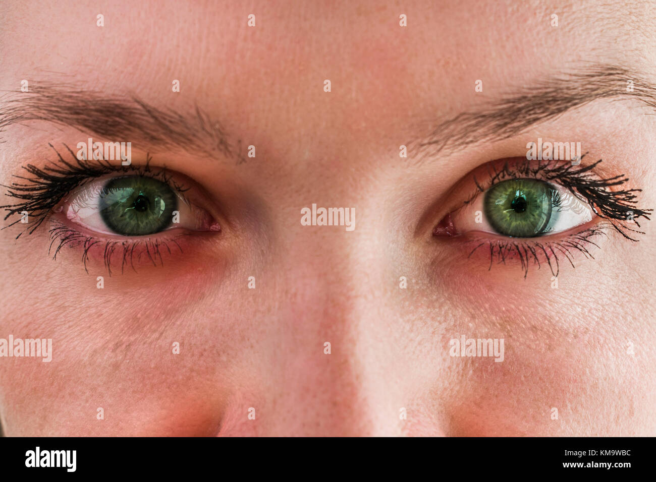 Eyes of a woman, eyelashes eyebrows. Green eyes Stock Photo - Alamy