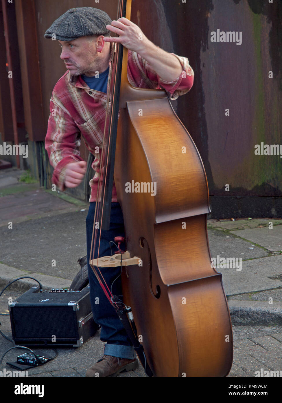 Upright Bass Player Rockabilly