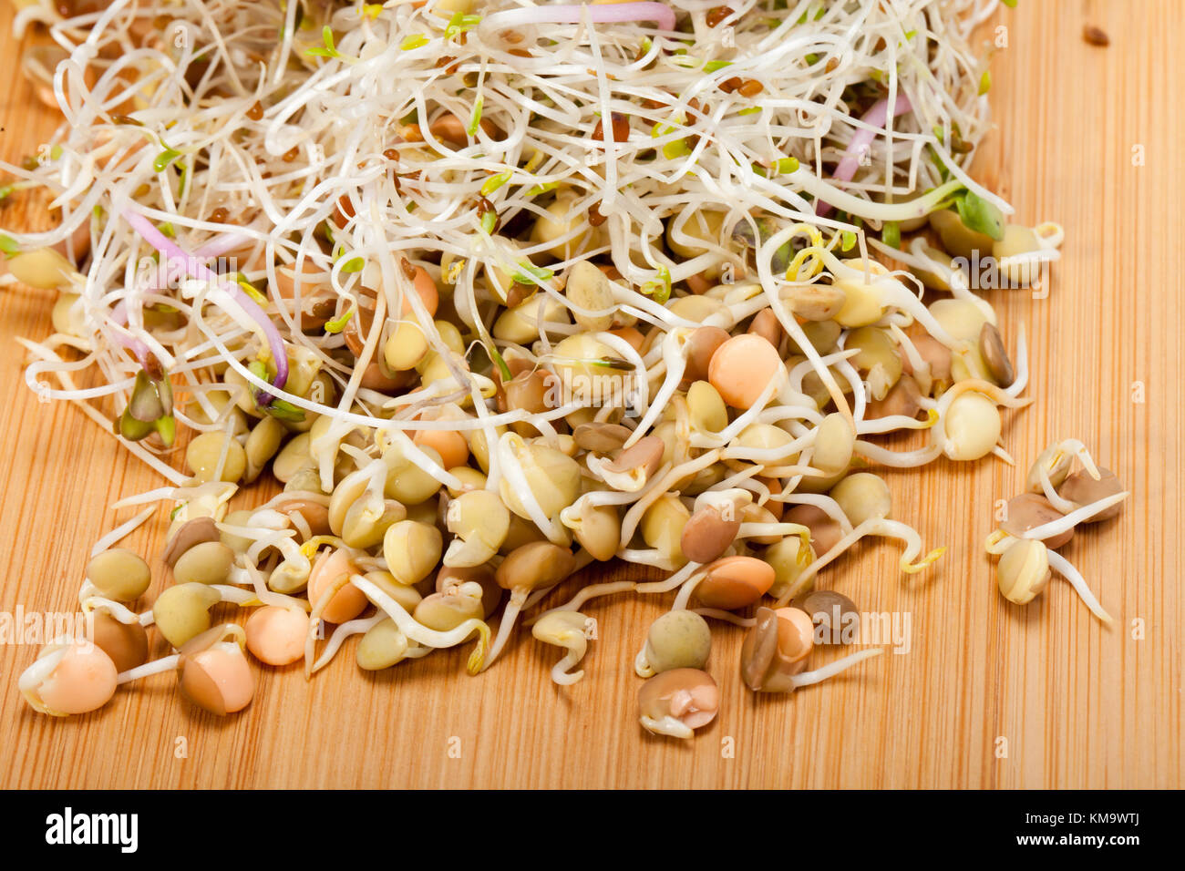 The healthy diet. Fresh sprouts isolated on white background Stock ...