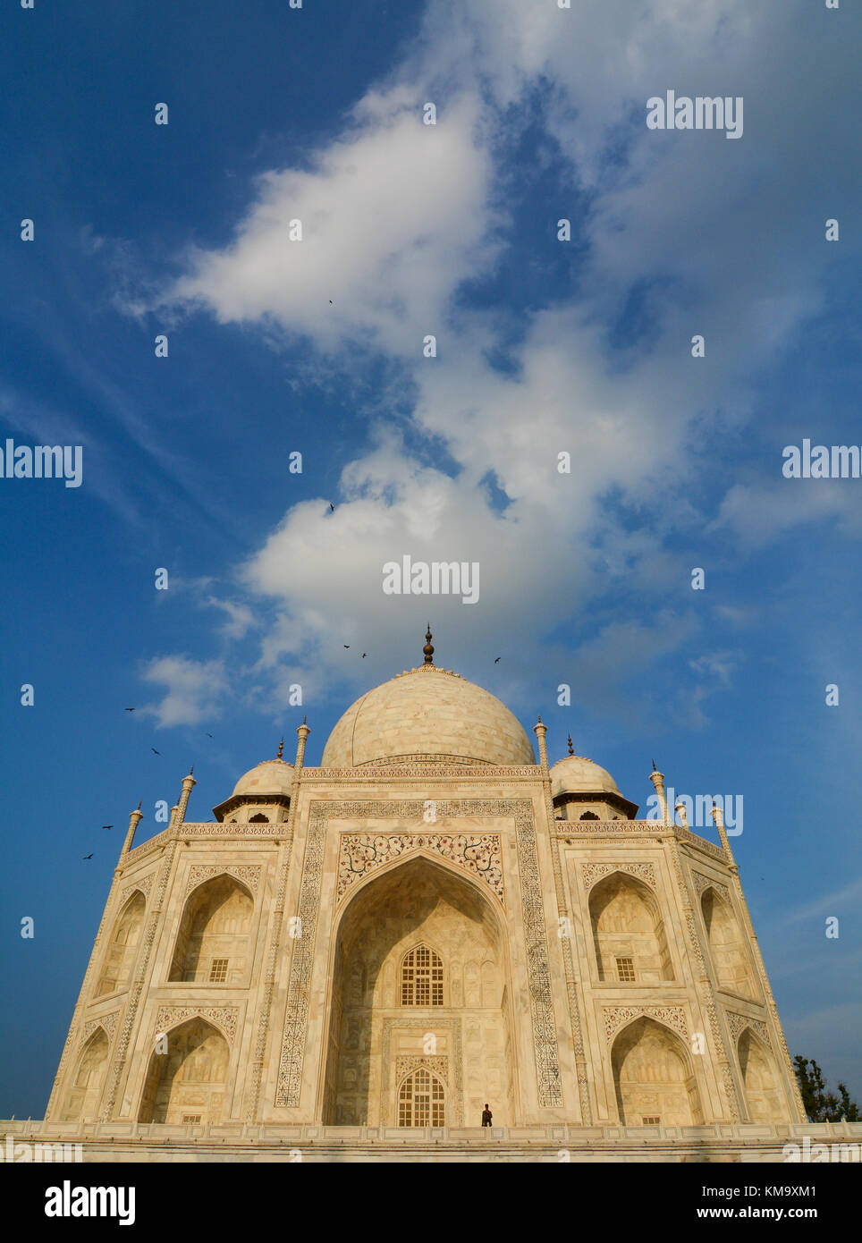 View of Taj Mahal at sunny day in Agra, India. The Taj Mahal was ...