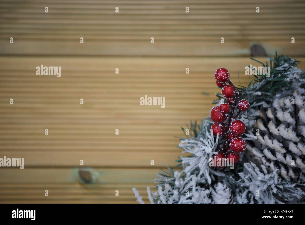 Pine tree berries hi-res stock photography and images - Alamy