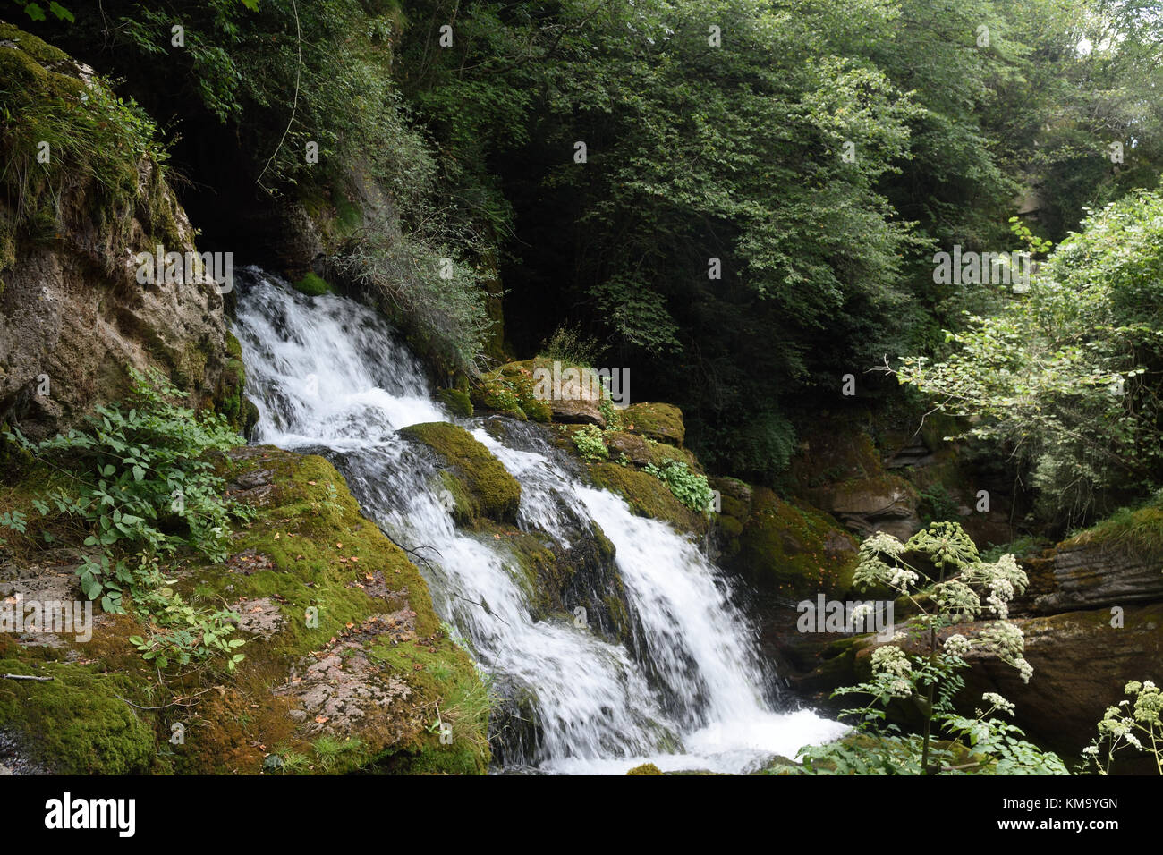 source (les fonts del LLobregat) in Castellar de N hug, Barcelona ...