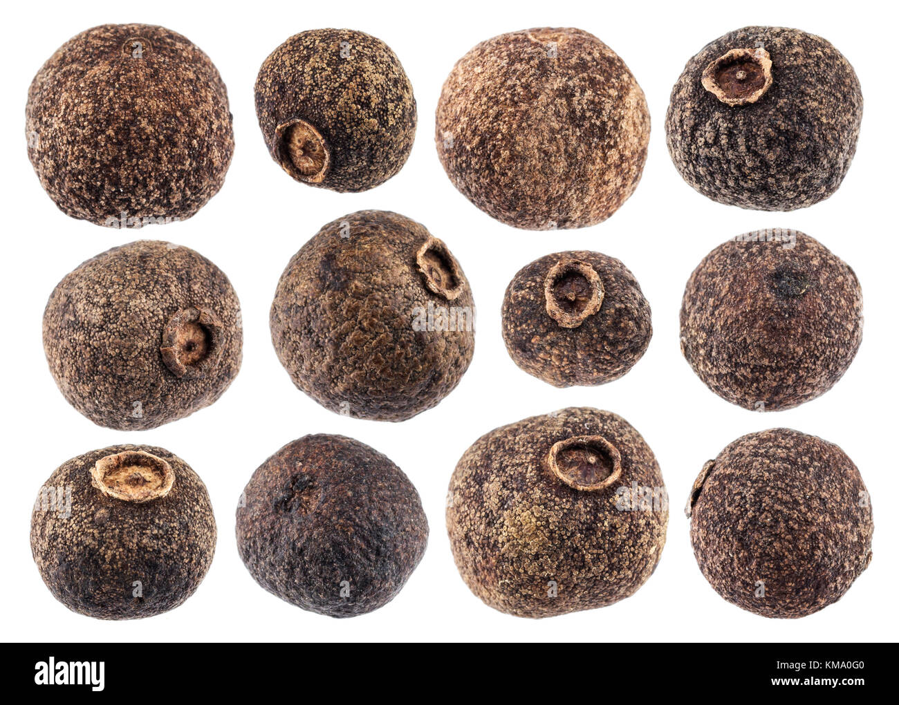 Allspice isolated on white background closeup. Black pepper collection ...