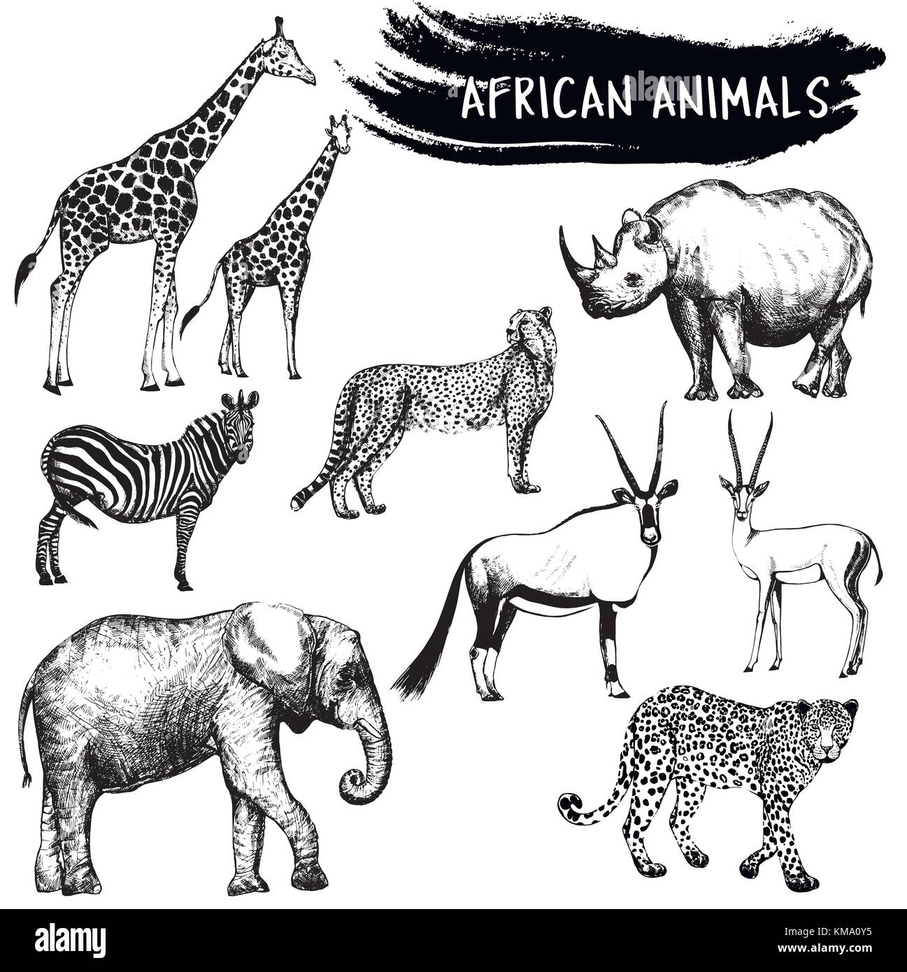 Hand drawn sketch set of African animals - giraffe, zebra, elephant ...