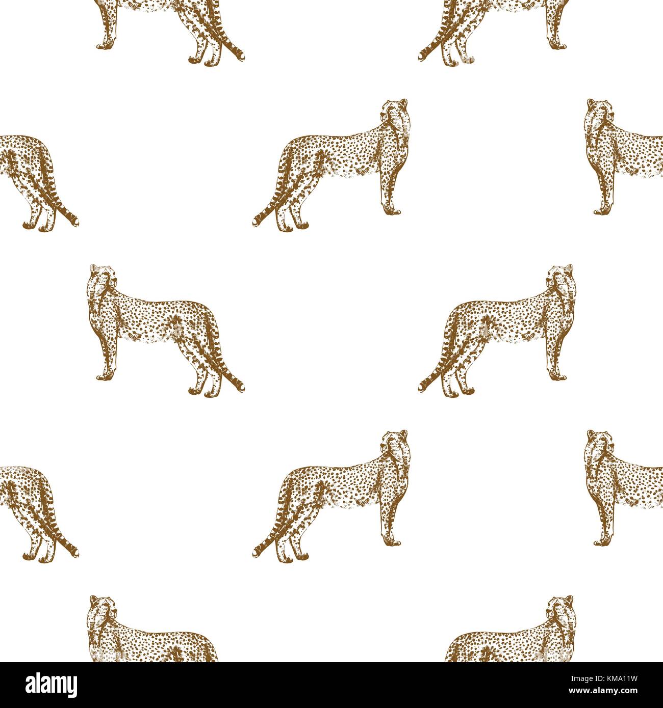 Seamless vector pattern of hand drawn sketch style cheetah Stock Vector ...