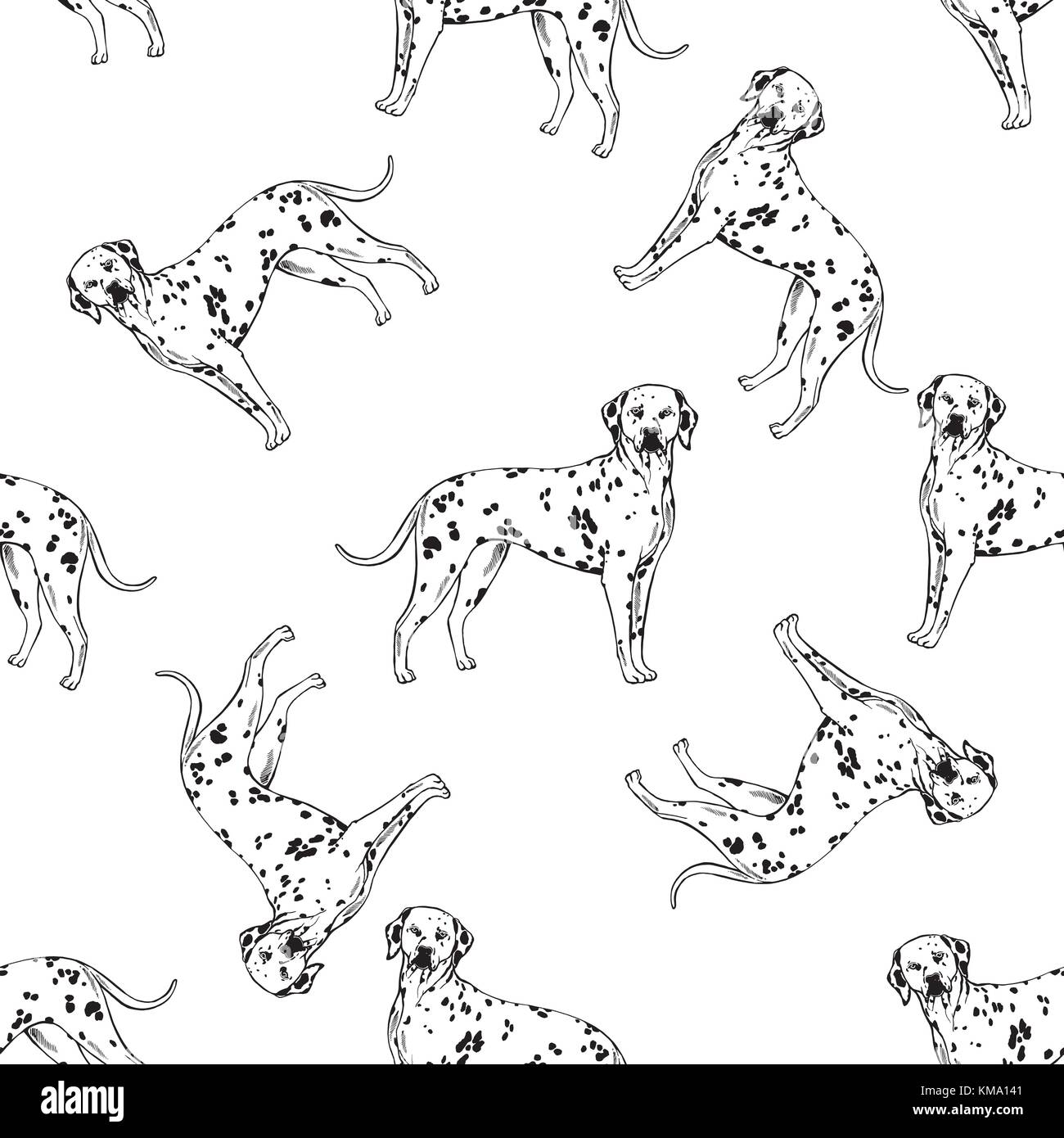 Seamless pattern of hand drawn sketch style dalmatian. Vector ...