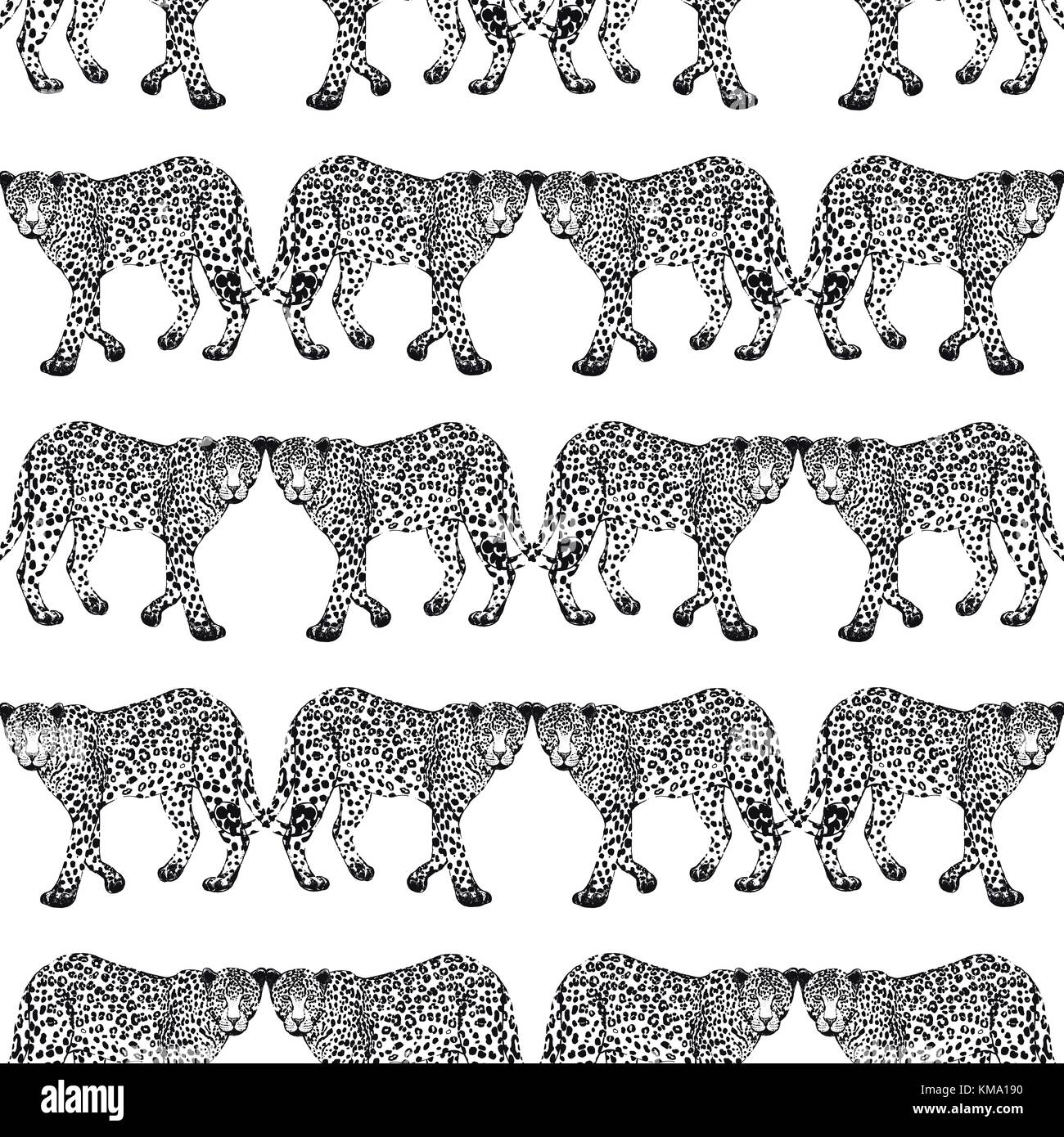 Seamless pattern of sketch style leopard. Vector illustration Stock ...