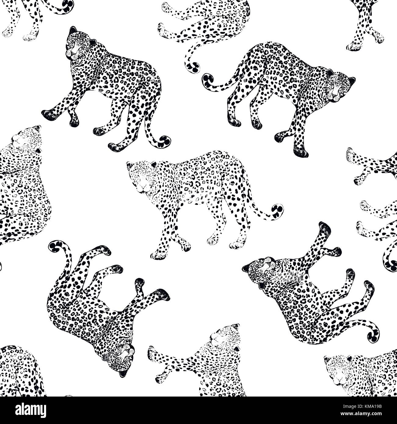 Seamless vector pattern of sketch style leopard Stock Vector Image ...