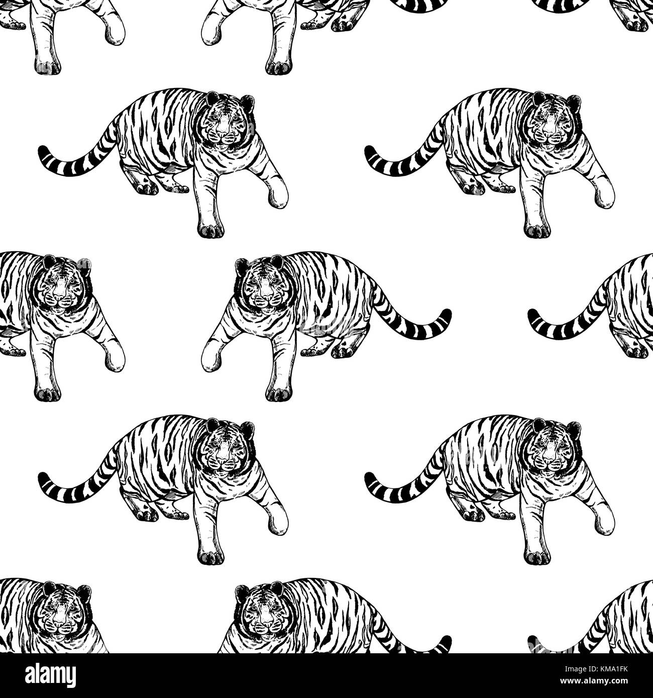 Tiger Stripe Pattern Stock Photos & Tiger Stripe Pattern Stock Images ...