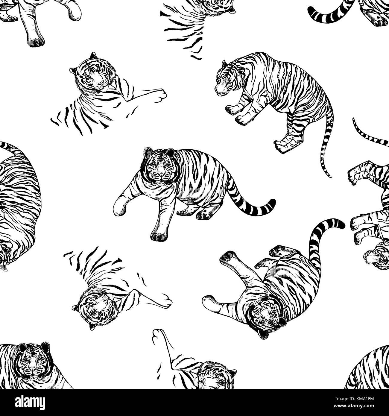 Tiger Stripe Pattern Stock Photos & Tiger Stripe Pattern Stock Images ...