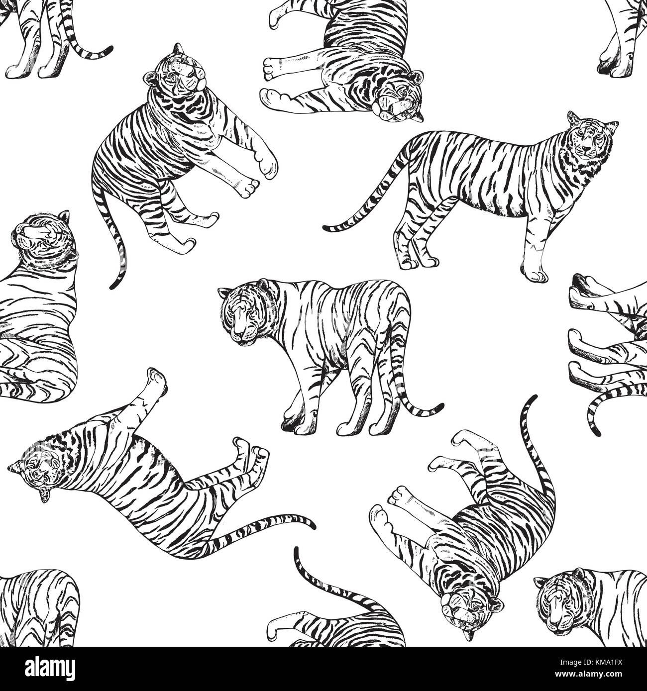 Seamless pattern of hand drawn sketch style tigers. Vector illustration ...
