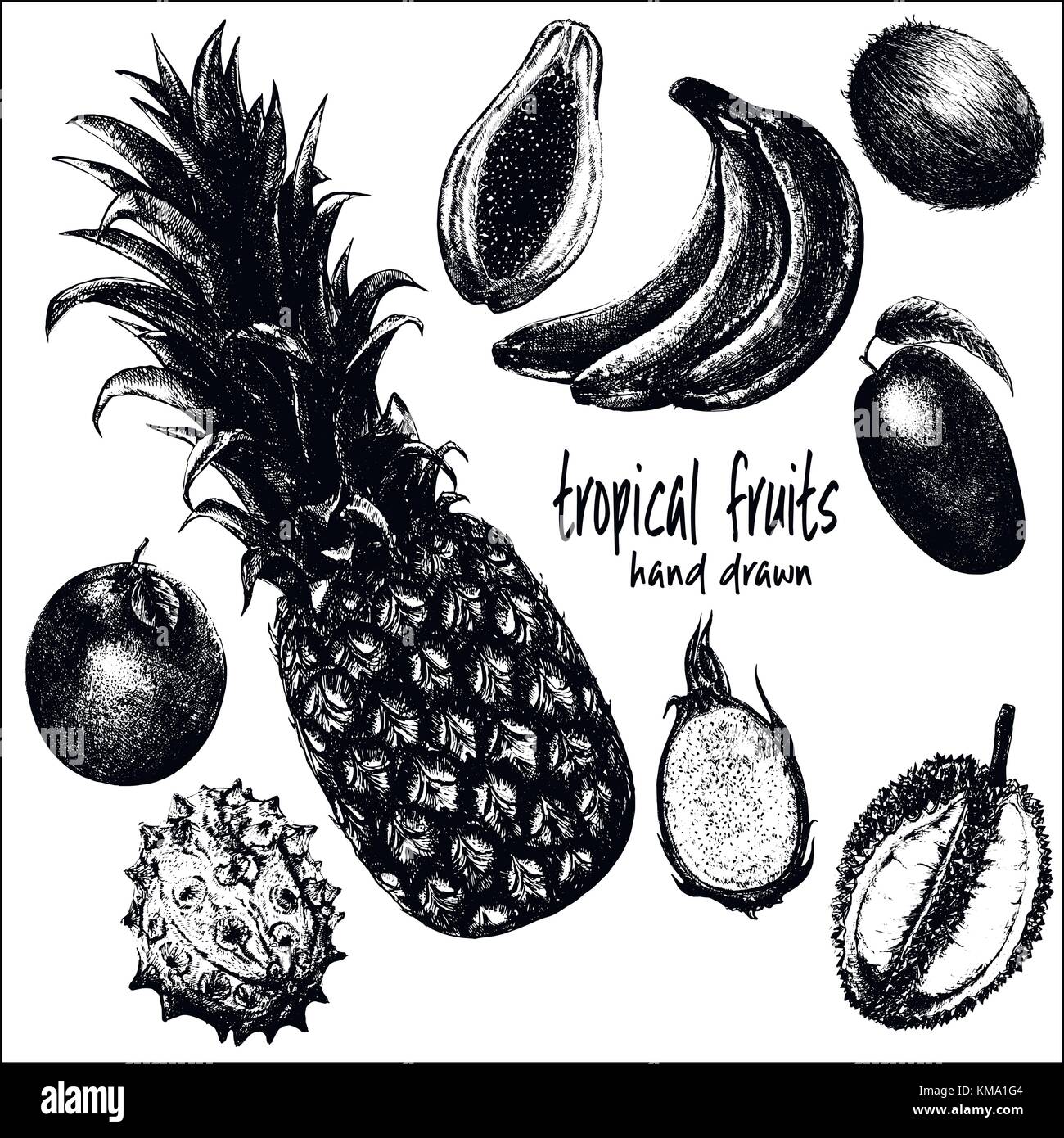 Hand drawn sketch set of tropical fruits. Vector illustration isolated ...