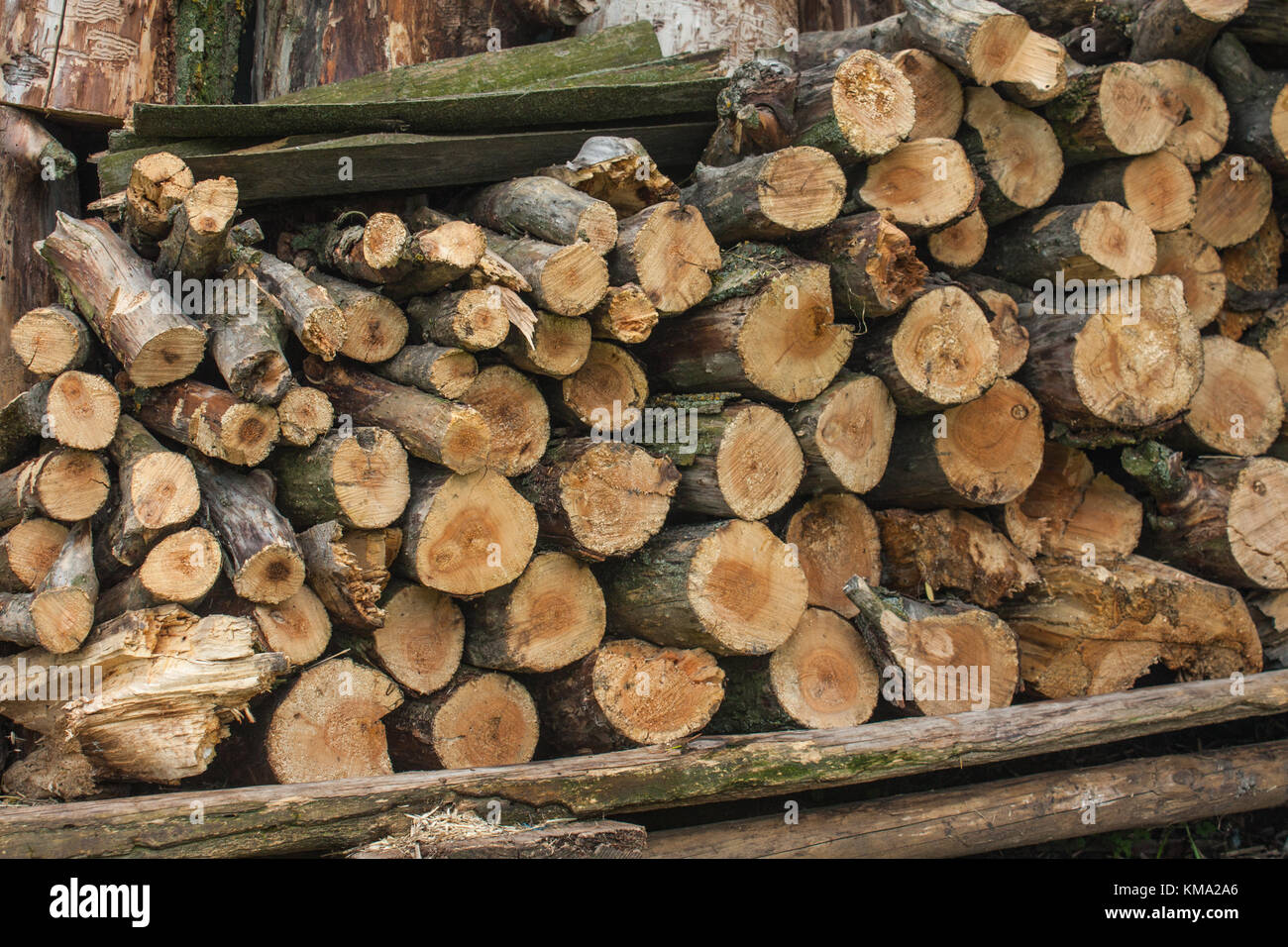 Woodpile of chopped lumber. Pile of wood logs. Stacked firewood timber ...