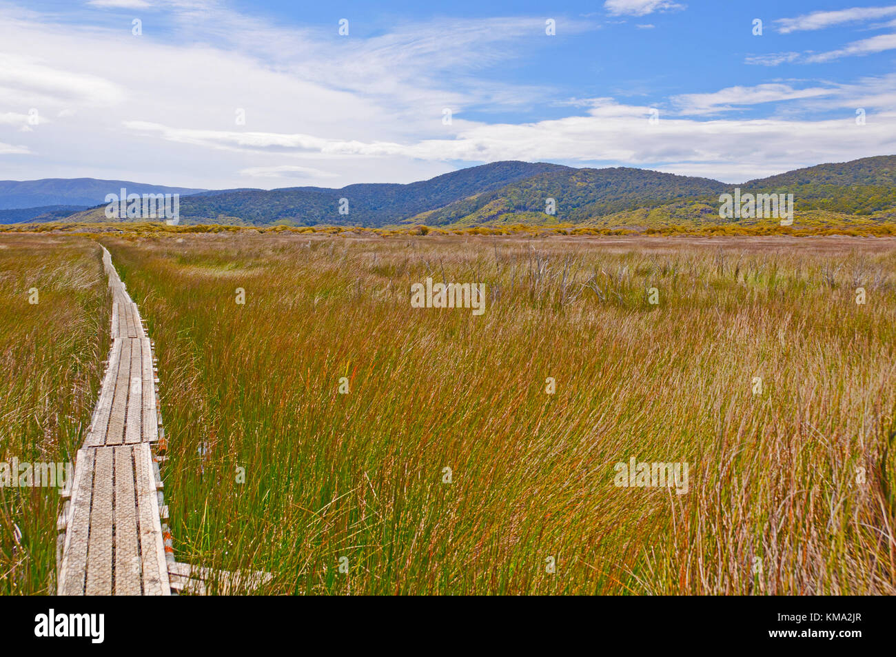 The North West Circuit Track going through the Chocolate Swamp on ...