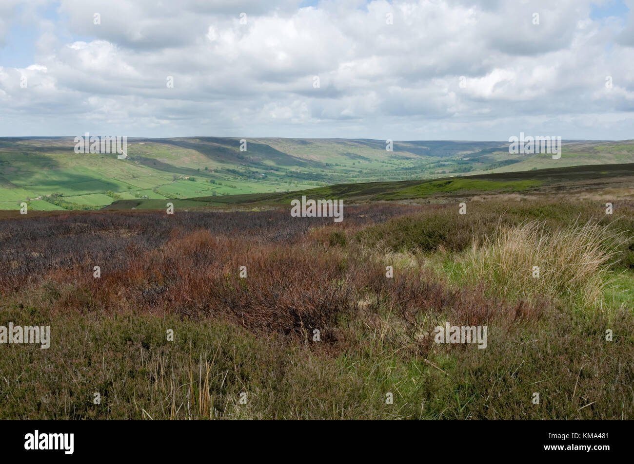 north yorkshire moors wilderness yorkshire landscape heather Stock ...