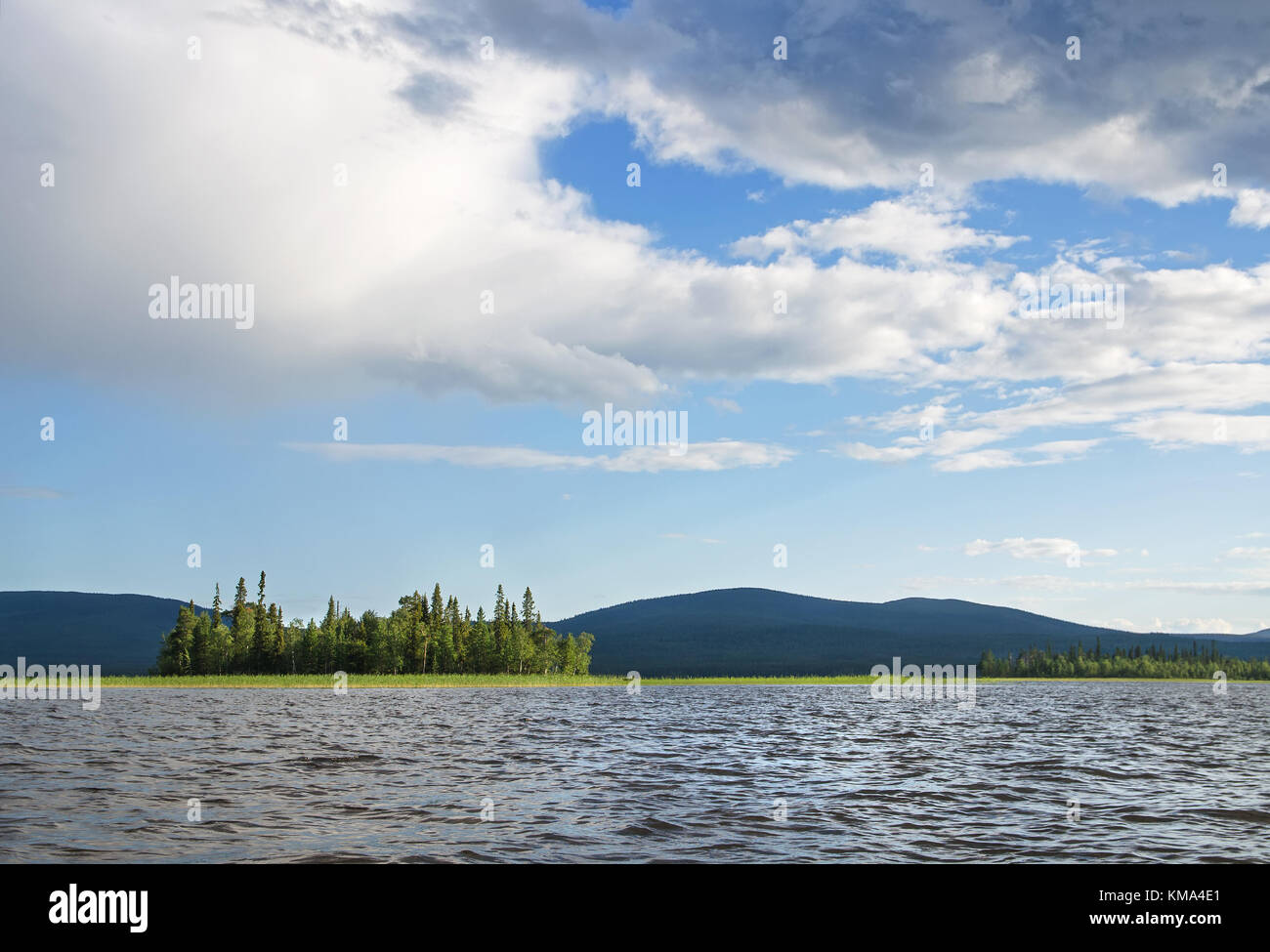 Wooded shore of a large lake. Forests along the coast. Kola Peninsula ...