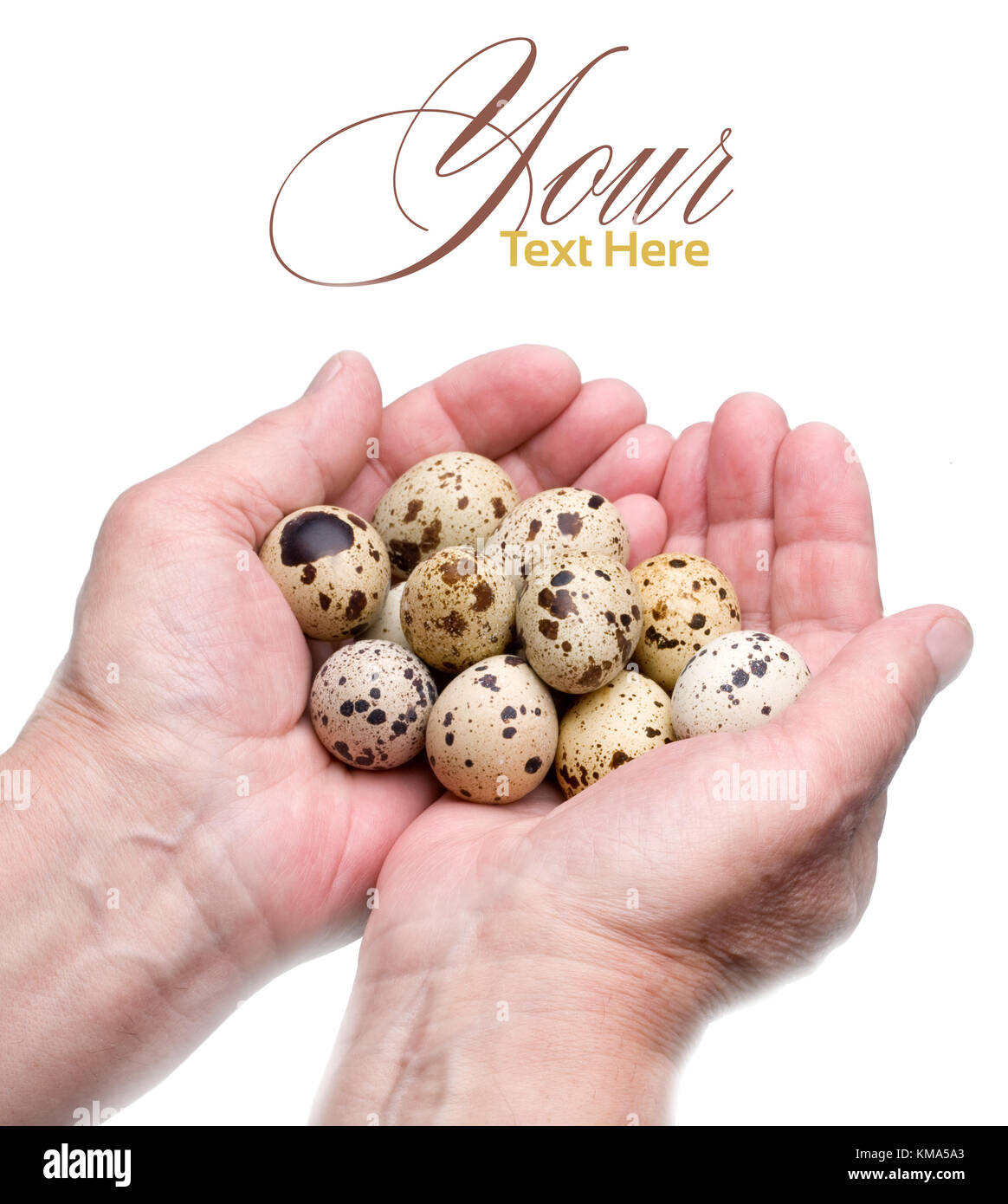 Quail eggs in their hands, isolated, white background Stock Photo - Alamy