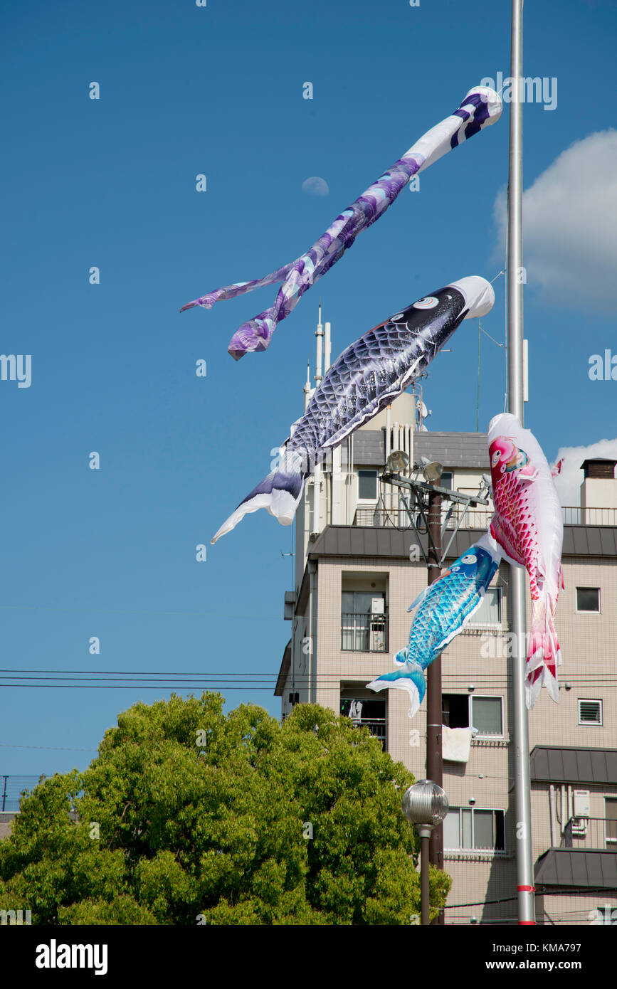 Aqua marine fish flag hi-res stock photography and images - Alamy