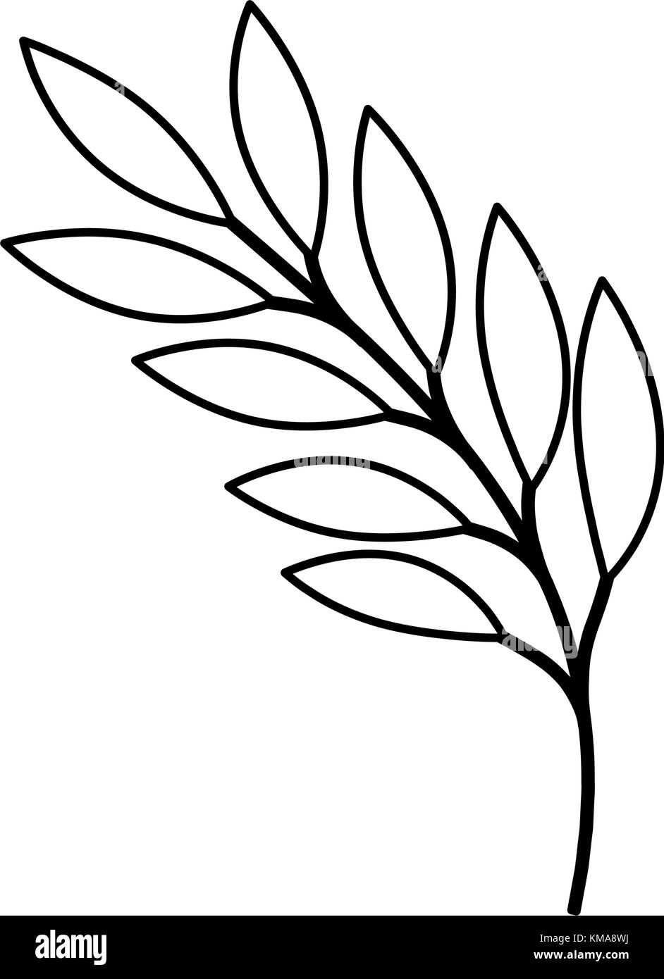 olive branch isolated icon vector illustration design Stock Vector ...