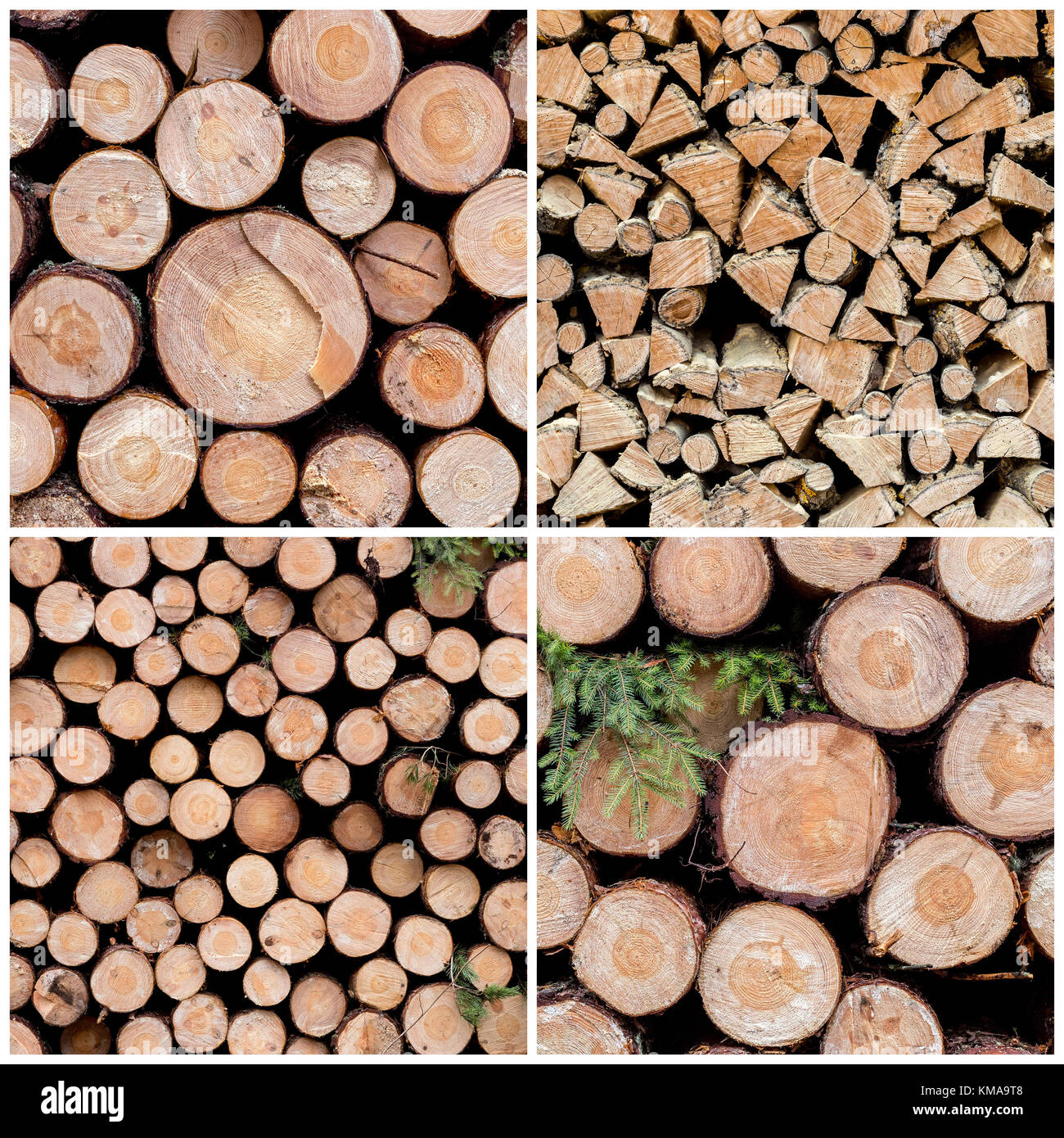 Big collection of wood texture backgrounds Stock Photo - Alamy