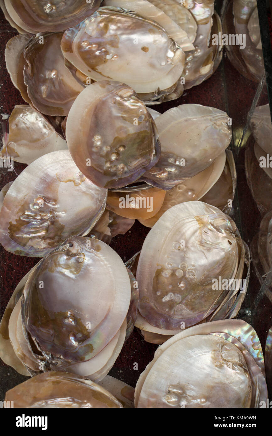 Various types of little colorful seashells Stock Photo - Alamy