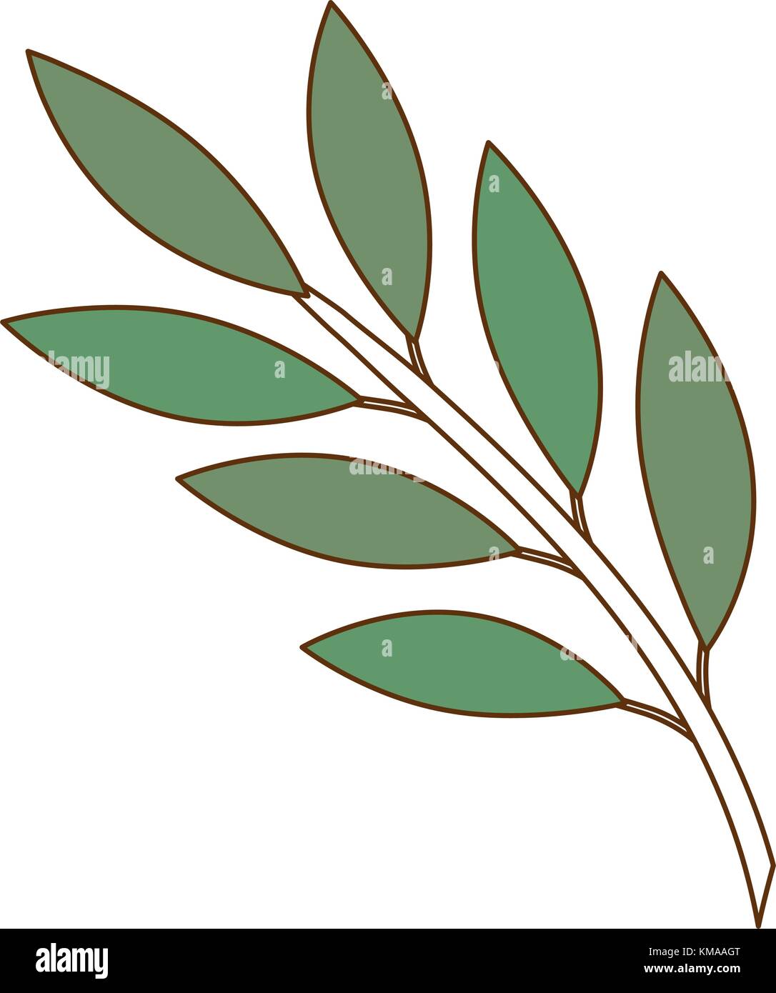 olive branch isolated icon Stock Vector Image & Art - Alamy