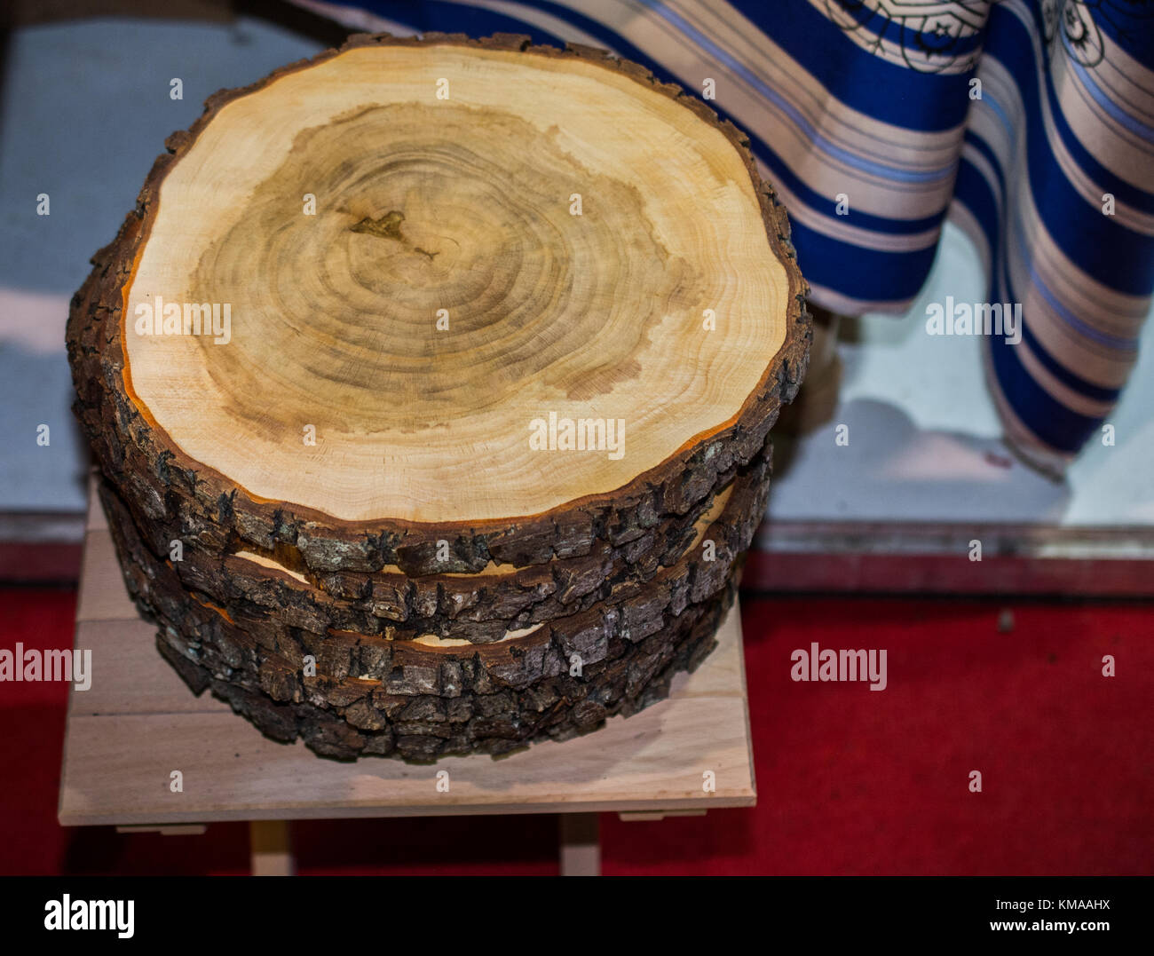 Wood Log cut in round thin pieces in view Stock Photo - Alamy