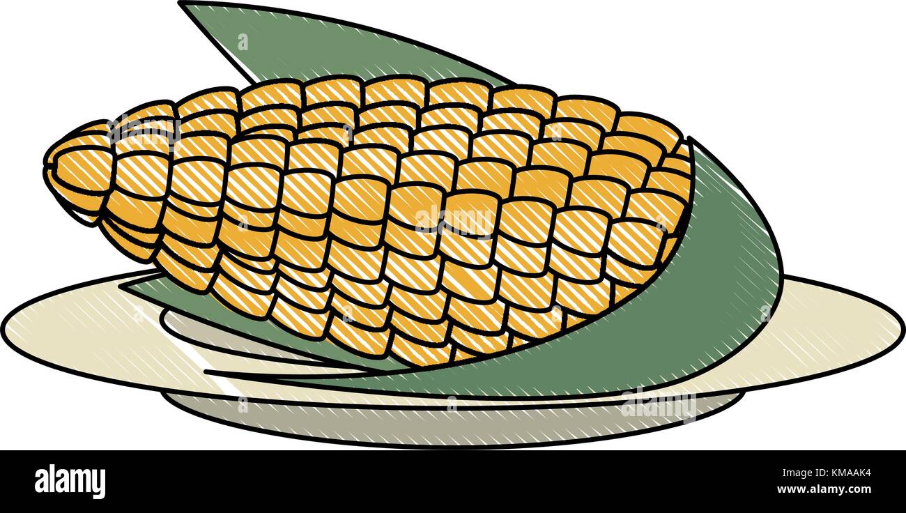 corn fresh isolated icon Stock Vector Image & Art - Alamy
