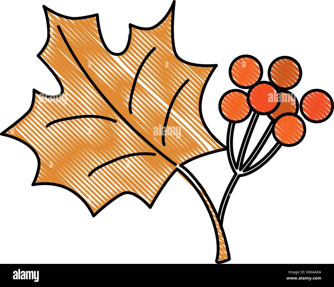 mapple leaf isolated icon Stock Vector Image & Art - Alamy