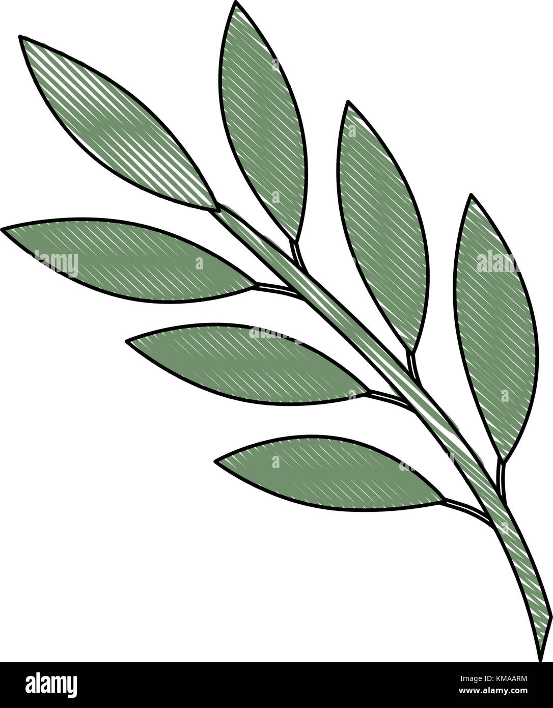 olive branch isolated icon Stock Vector Image & Art - Alamy