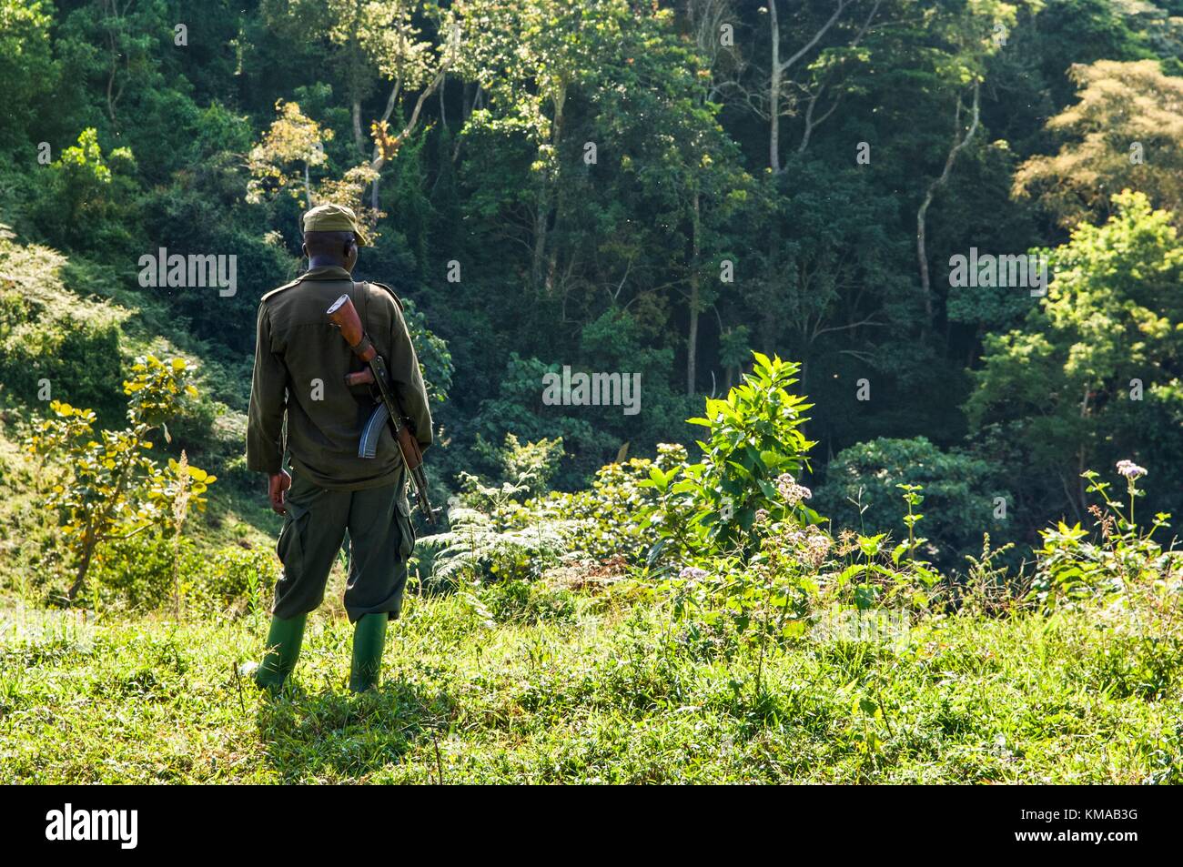 GORILLA CAMP, BWINDI FOREST, UGANDA - 13 DECEMBER 2008: Man with AK-47 ...