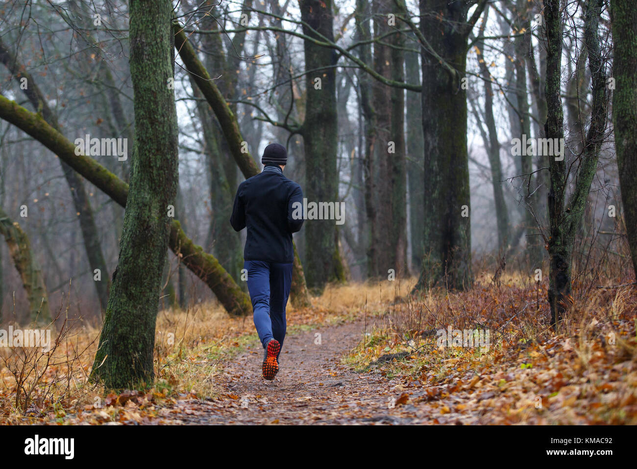 Trail running in autumn park. Back view of young man jogging in fall ...