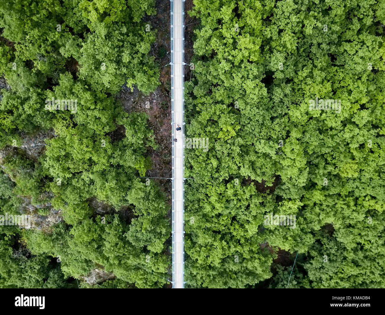 aerial view Germany's longest rope suspension bridge 300 feet above a ...