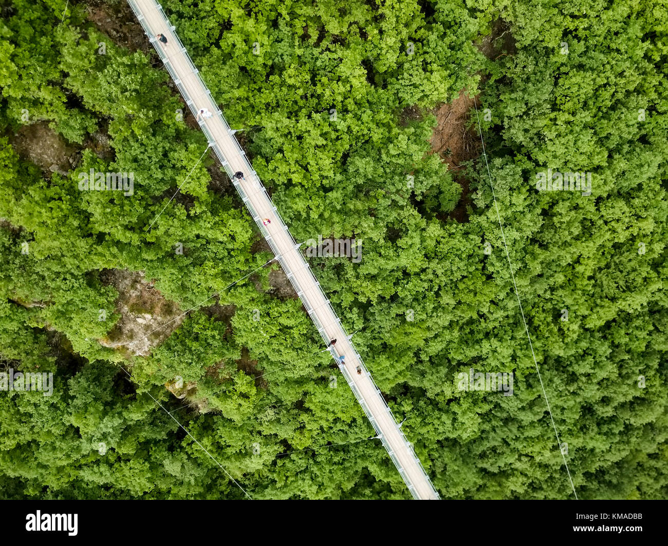 aerial view Germany's longest rope suspension bridge 300 feet above a ...