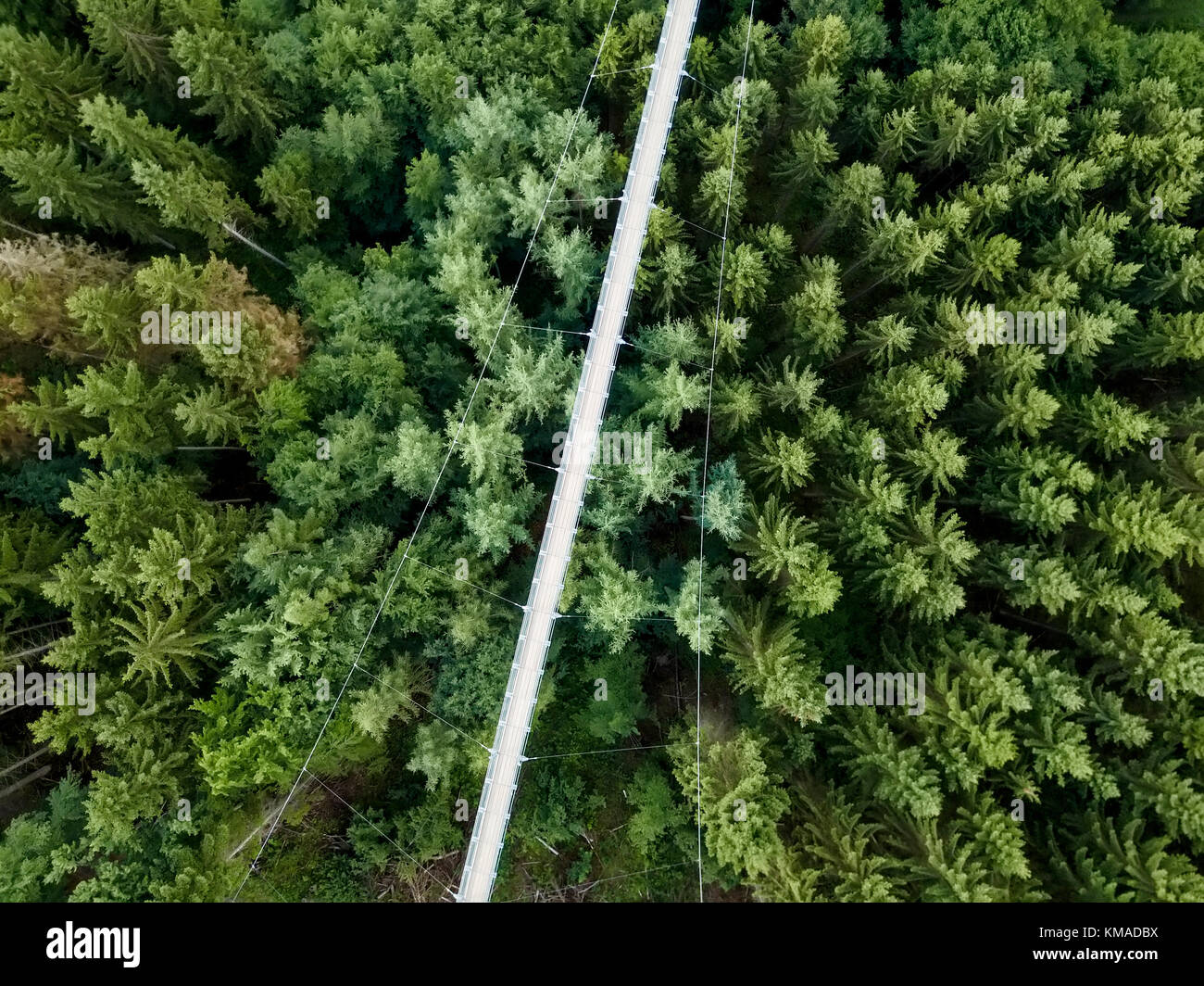 aerial view Germany's longest rope suspension bridge 300 feet above a ...